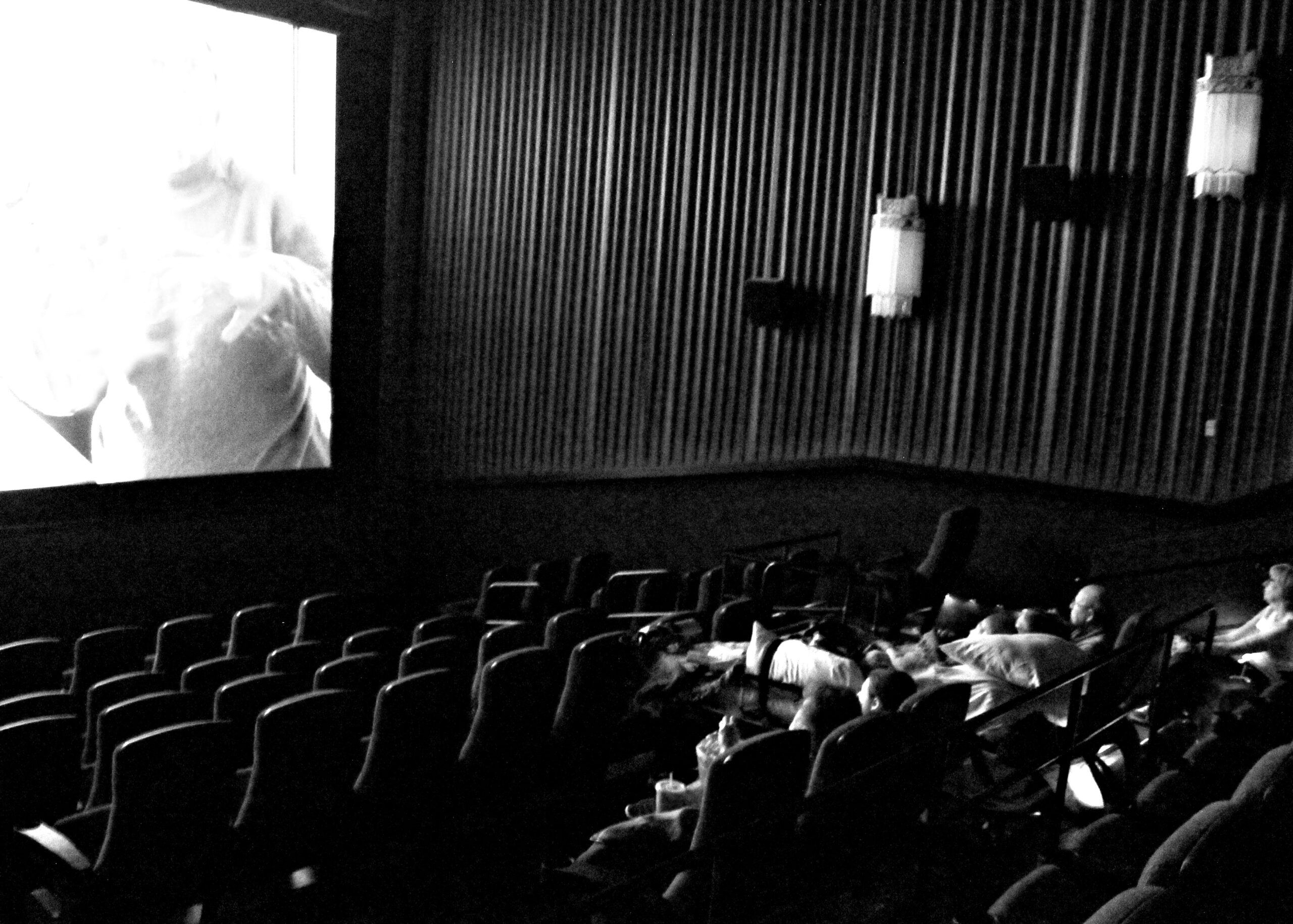 To See a Movie in the Theater - Hospice Care Plus